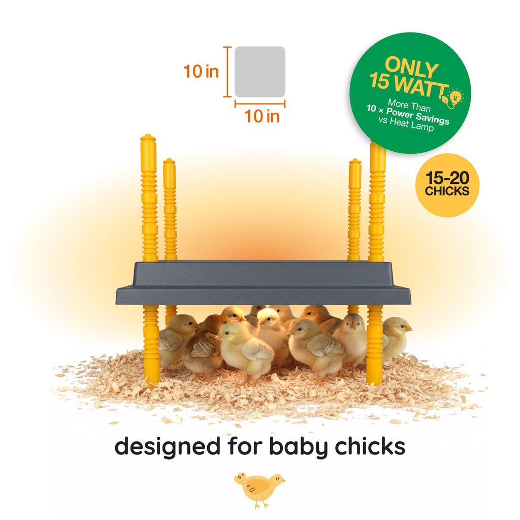 Warmzy Heating Plate (10" x 10") 15-20 chicks – Cutler Supply